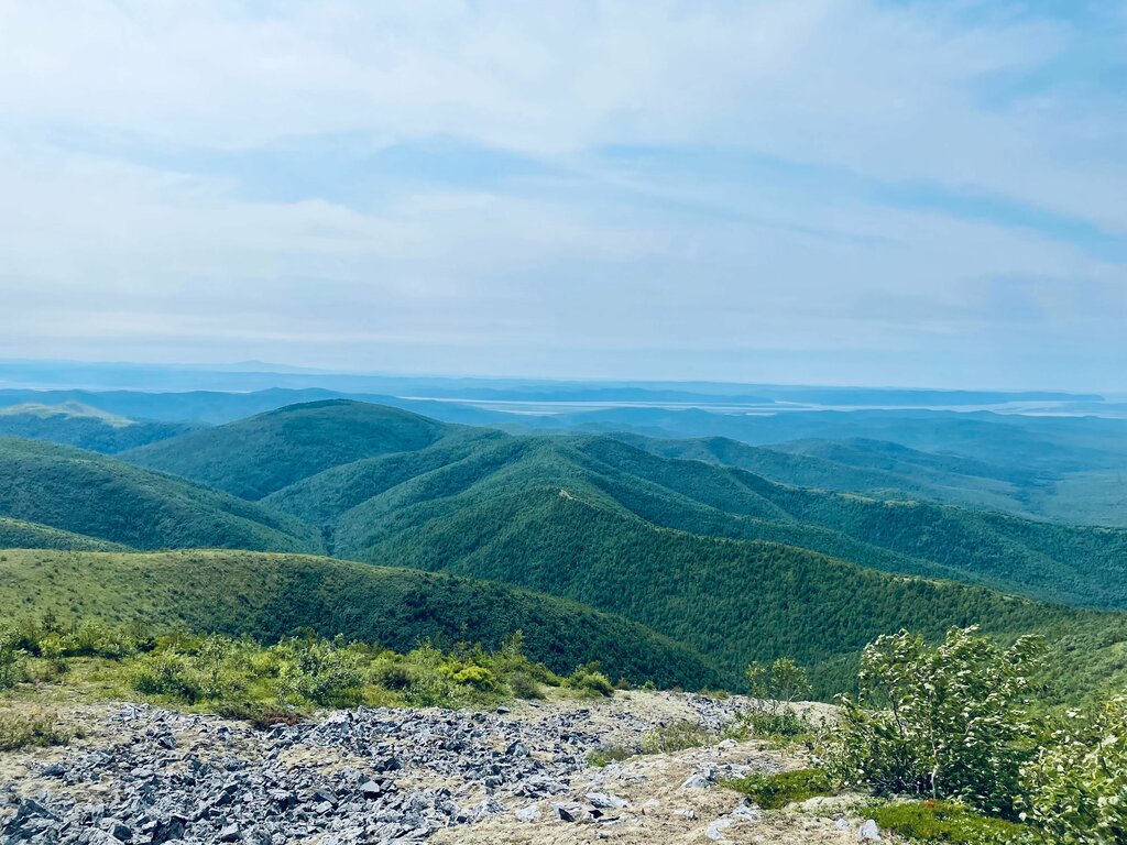 Dağ zirvesi Гора Чоккеты, Habarovski krayı, foto