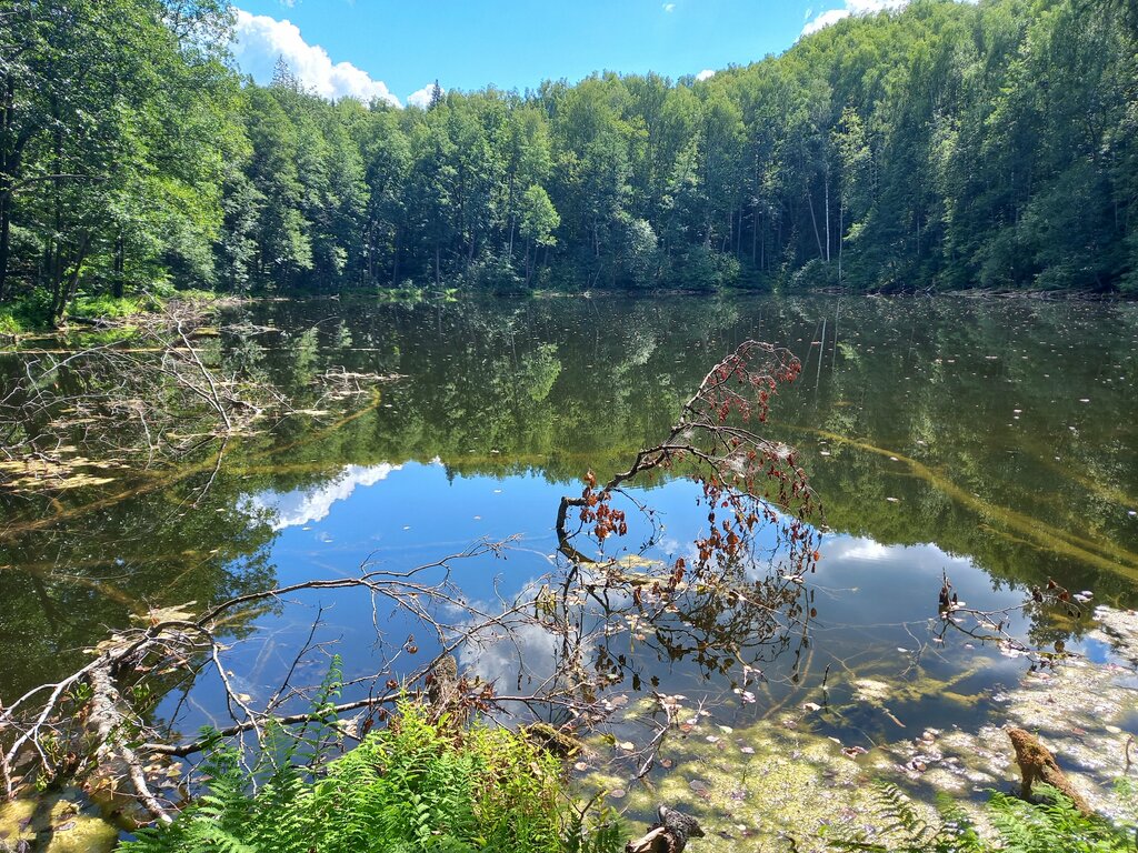 Doğa koruma alanı Национальный парк Марий Чодра, Mariy El Cumhuriyeti, foto