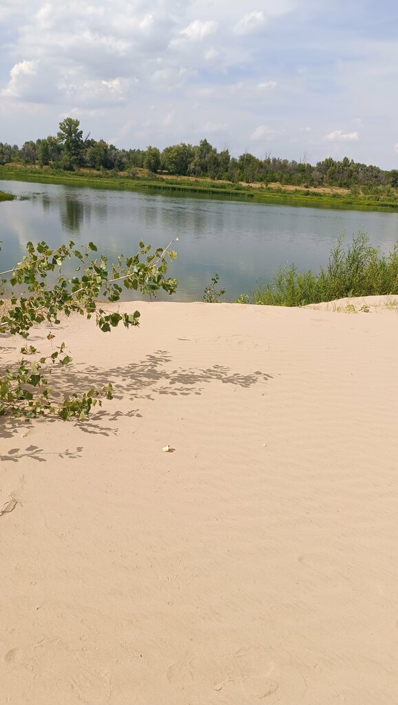 Plaj Пляж, Volgogradskaya oblastı, foto