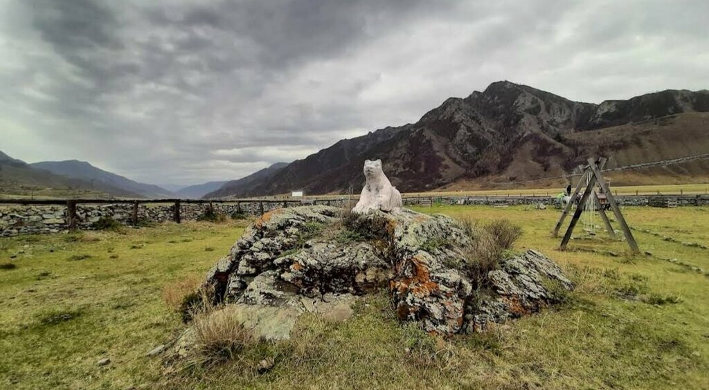 Park, sokak heykeli Скульптуры животных, Altay Cumhuriyeti, foto