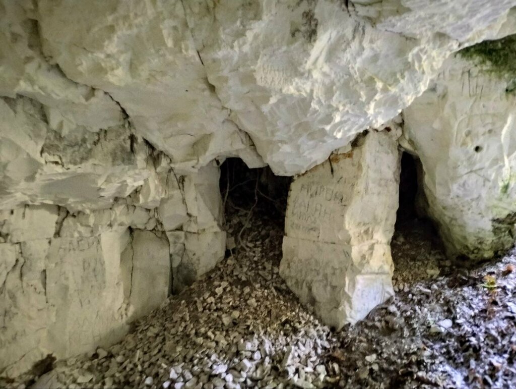 Orman урочище Сборно-Оскольская Дача, Belgorodskaya oblastı, foto