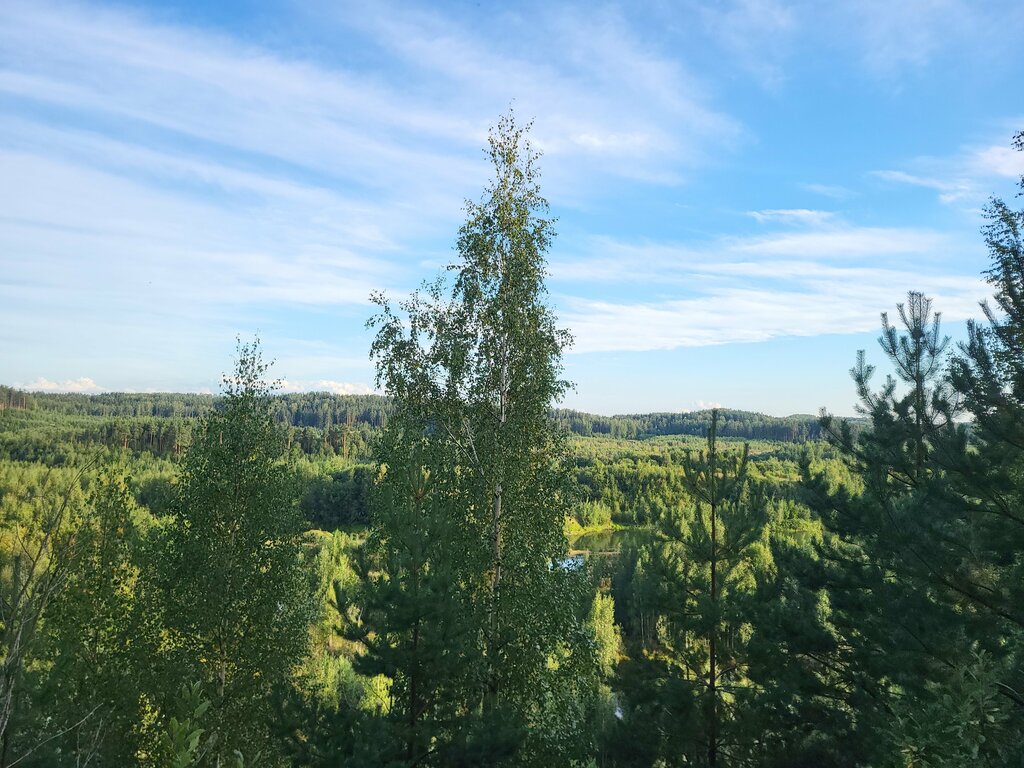 Seyir terası Высокий обрыв бывшего песчаного карьера, Saint‑Petersburg ve Leningradskaya oblastı, foto