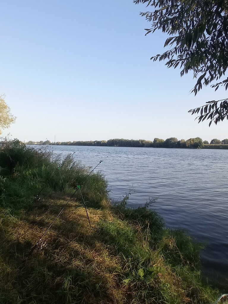 Plaj Пляж, Moskova ve Moskovskaya oblastı, foto