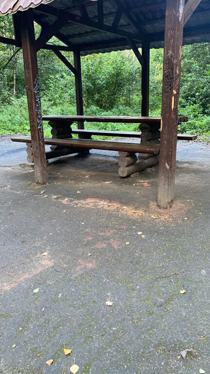 Çardak Gazebo, Moskova, foto