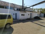 Master Fish (Bıtovaya street No:23, Karagandy), balık ve deniz ürünleri  Karağandı'dan