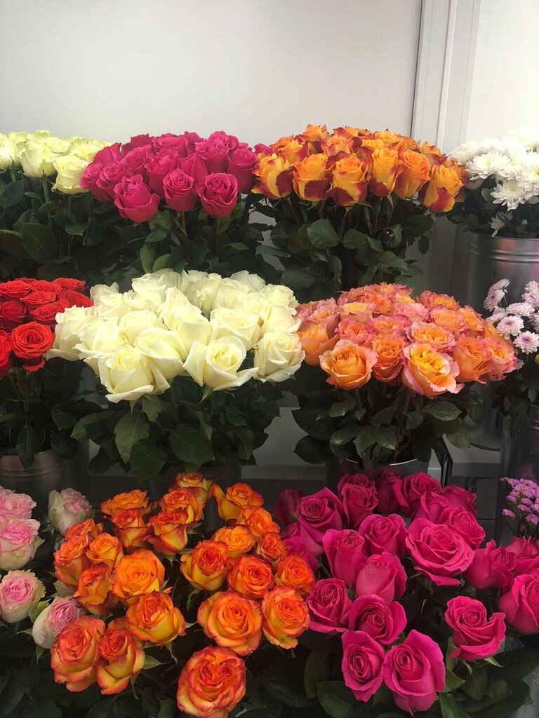 Çiçekçiler Цветы рядом, Krasnokamsk, foto