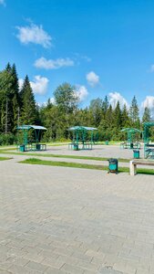 Место отдыха (Tver Region, Bologovskiy munitsipalny okrug, M-11, 388-y kilometr), piknik alanı  Tverskaya oblastından