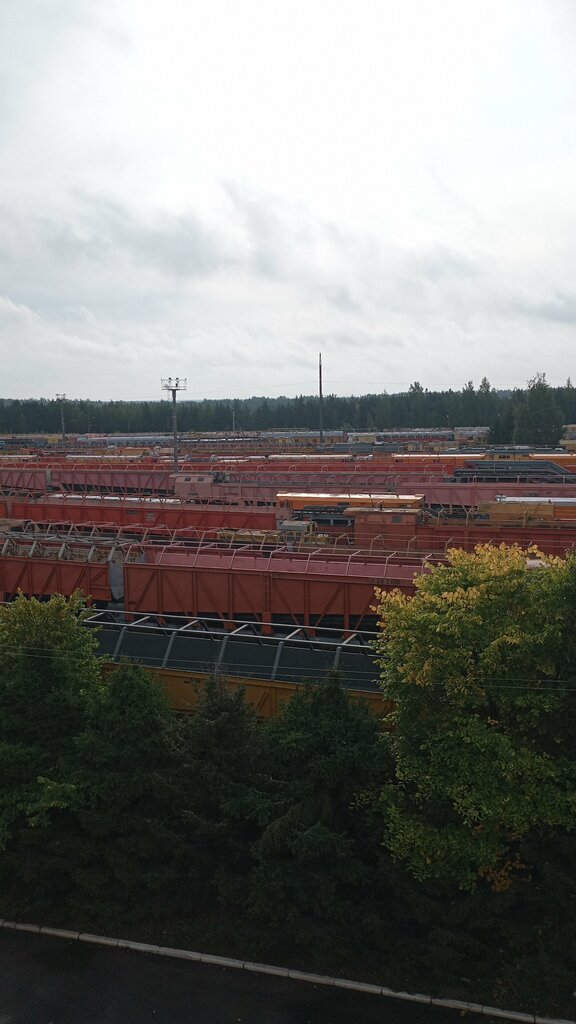 Demiryolu inşaatı ve tamiri PChM-Tosno, Tosno, foto