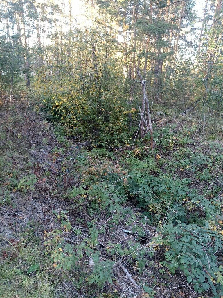 Unutulmaz olayların yeri Место падения U-2, Sverdlovskaya oblastı, foto