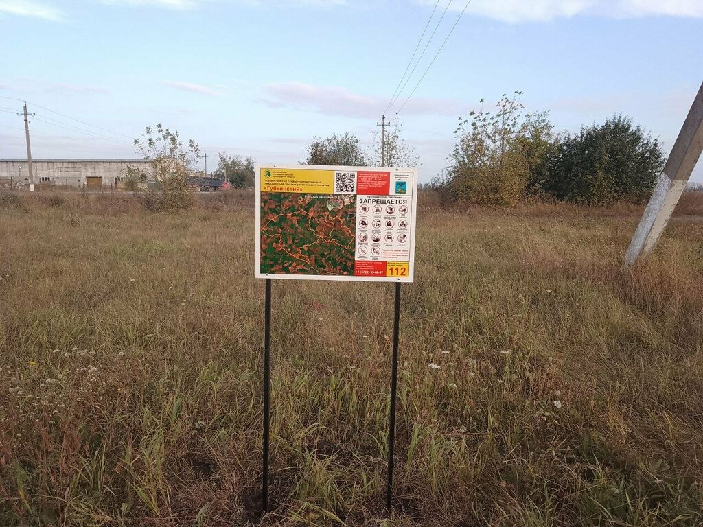 Orman Сенной лес, Belgorodskaya oblastı, foto