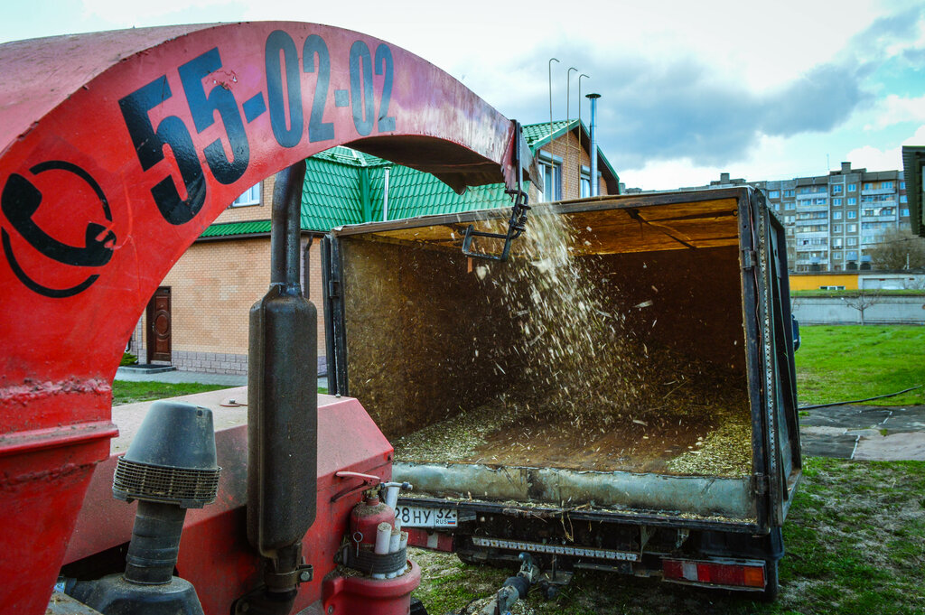 Çöp hizmetleri Wood collection point, Kurskaya oblastı, foto