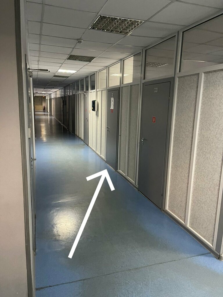 Lamba ve avize mağazaları Papagolova, Moskova, foto