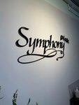 Symphony Pink (Michurinsky Avenue No:22к1), çiçekçiler  Moskova'dan