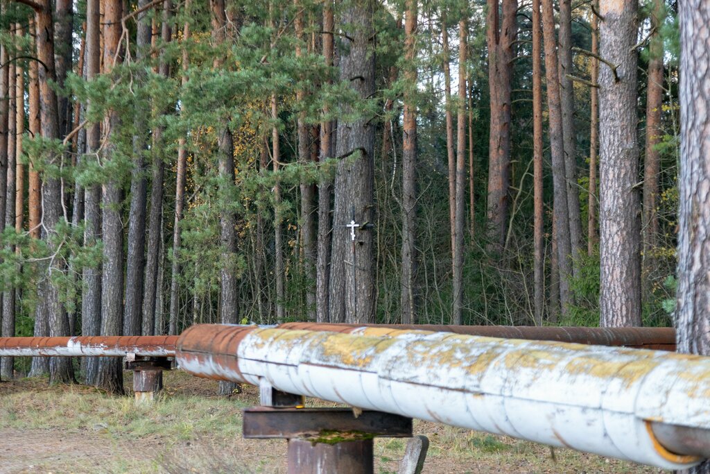 Şapel, haç anıtı Памятный крест, Dubna, foto