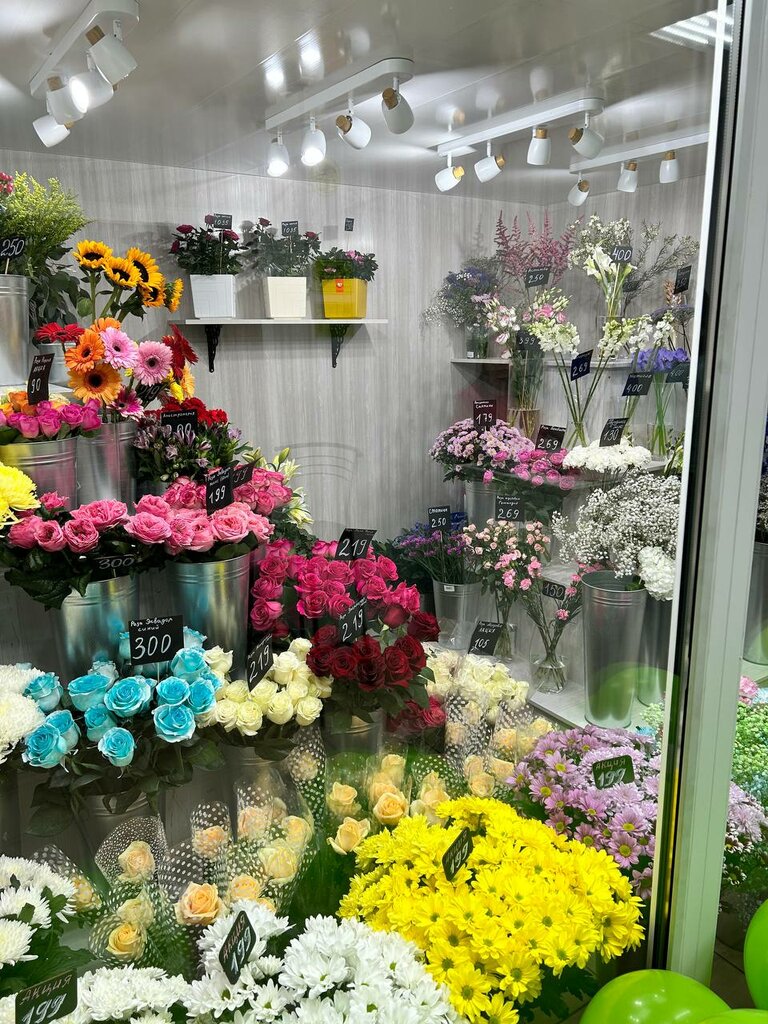 Çiçekçiler Дом Цветков, Altayski krayı, foto