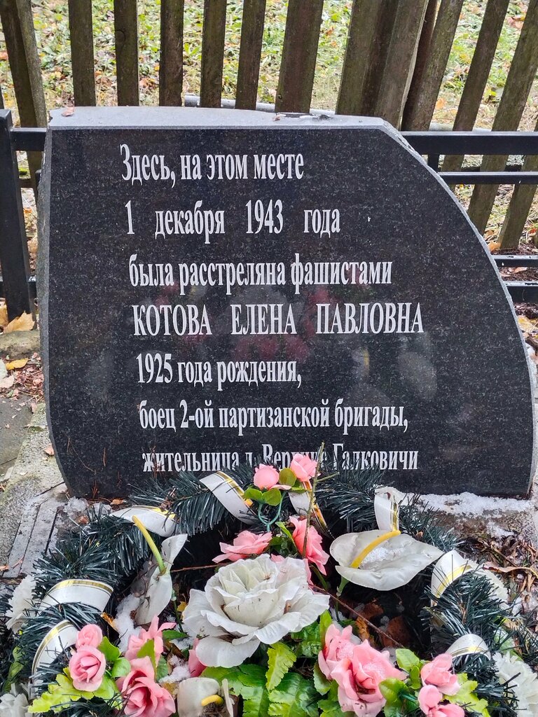 Anıt, heykel Место расстрела юной партизанки, Pskovskaya oblastı, foto