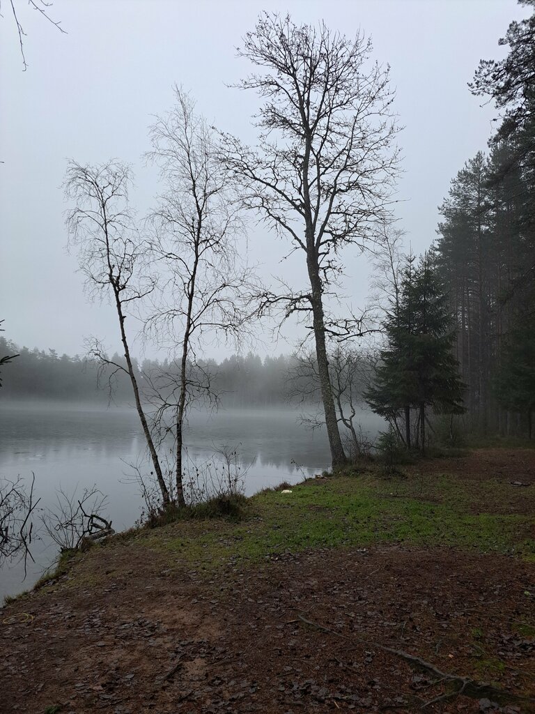 Dağ zirvesi Гора Питкясярккя 65 метров, Karelya, foto