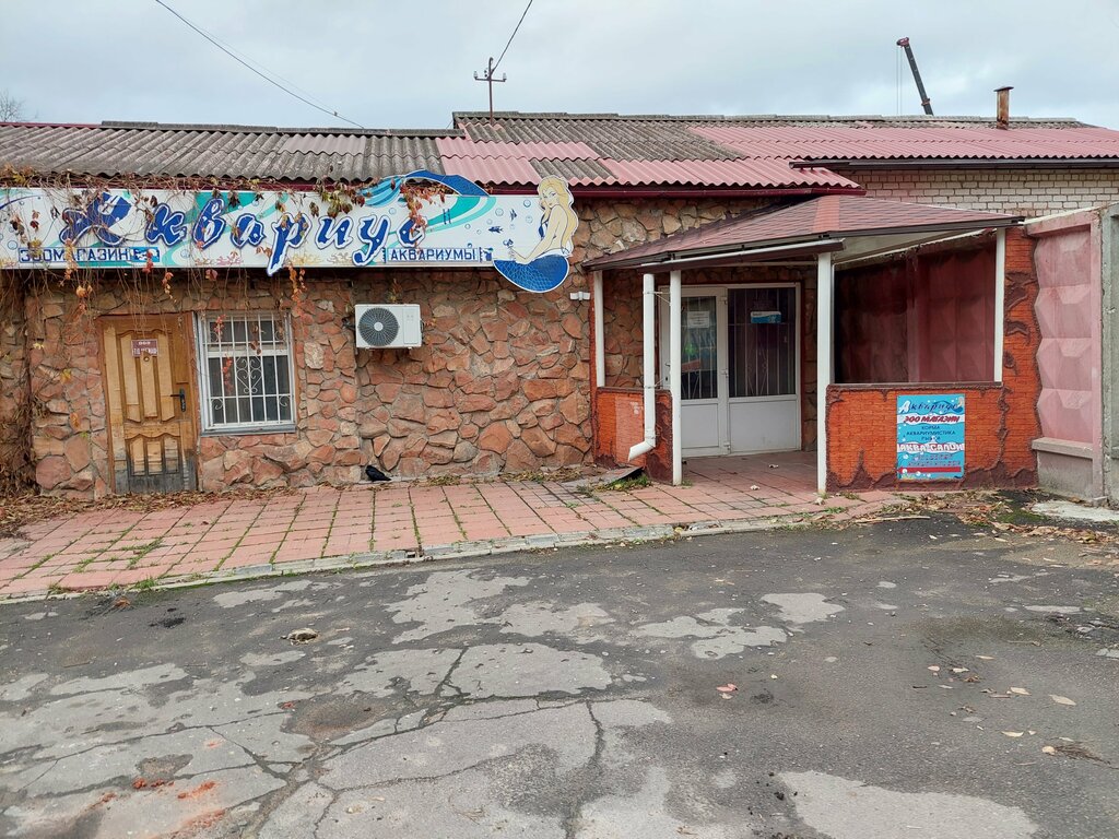 Akvaryumlar Akvarius, Orel, foto