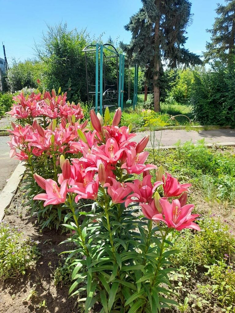 Otel Усадьба Знаменская, Altayski krayı, foto