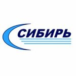 Sibir (2-ya Skladskaya ulitsa No:1/2, Novosibirsk), elektrik servisi  Novosibirsk'ten