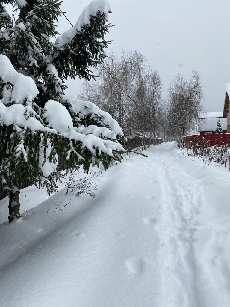 Bahçecilik dernekleri ve kuruluşları СНТ Мачихино, Moskova, foto