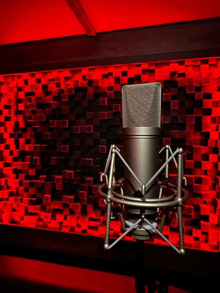 Ses kayıt stüdyoları Greendoor studio, Moskova ve Moskovskaya oblastı, foto