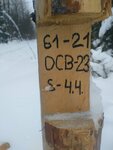 Mari-turekskijj Leskhoz (ulitsa Stroiteley No:2, posyolok gorodskogo tipa Mari-Turek), orman işleri  Mariy El'den
