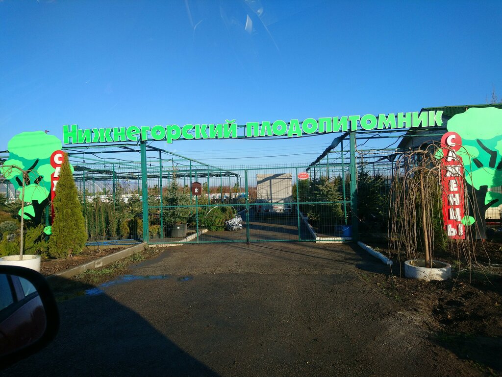 Fidan yetiştiriciliği Нижнегорский Плодопитомник, Kırım Cumhuriyeti, foto