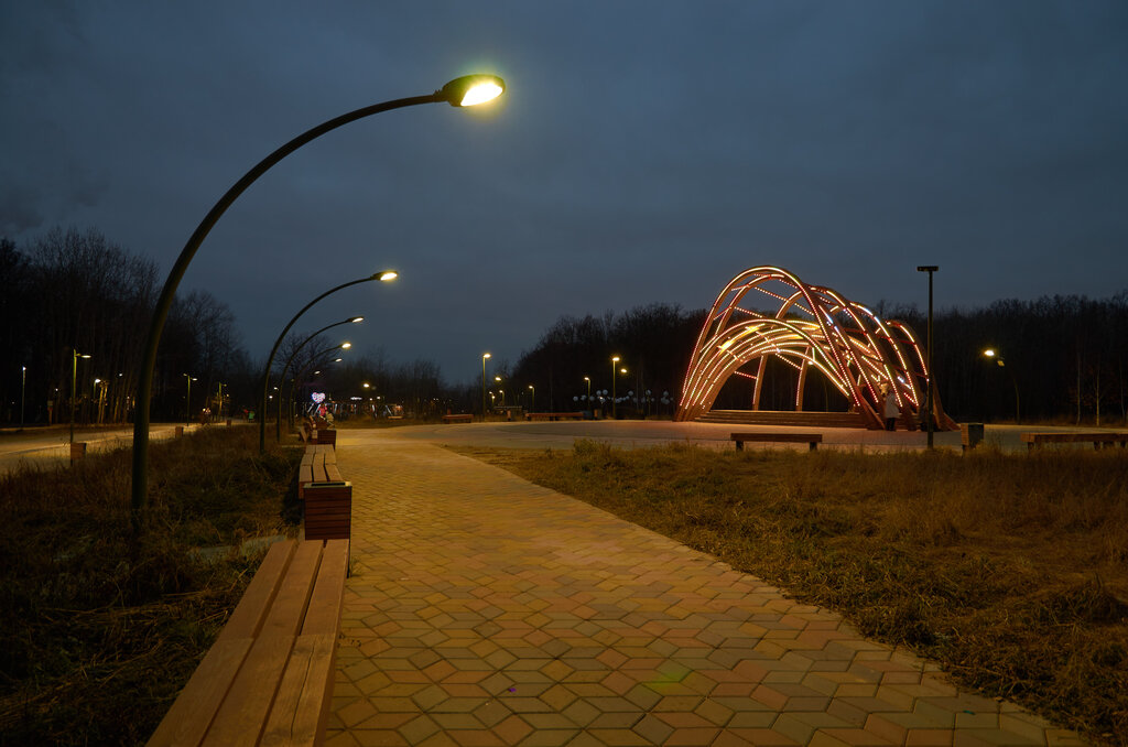 Orman Gorkinskii Forest, Kazan, foto