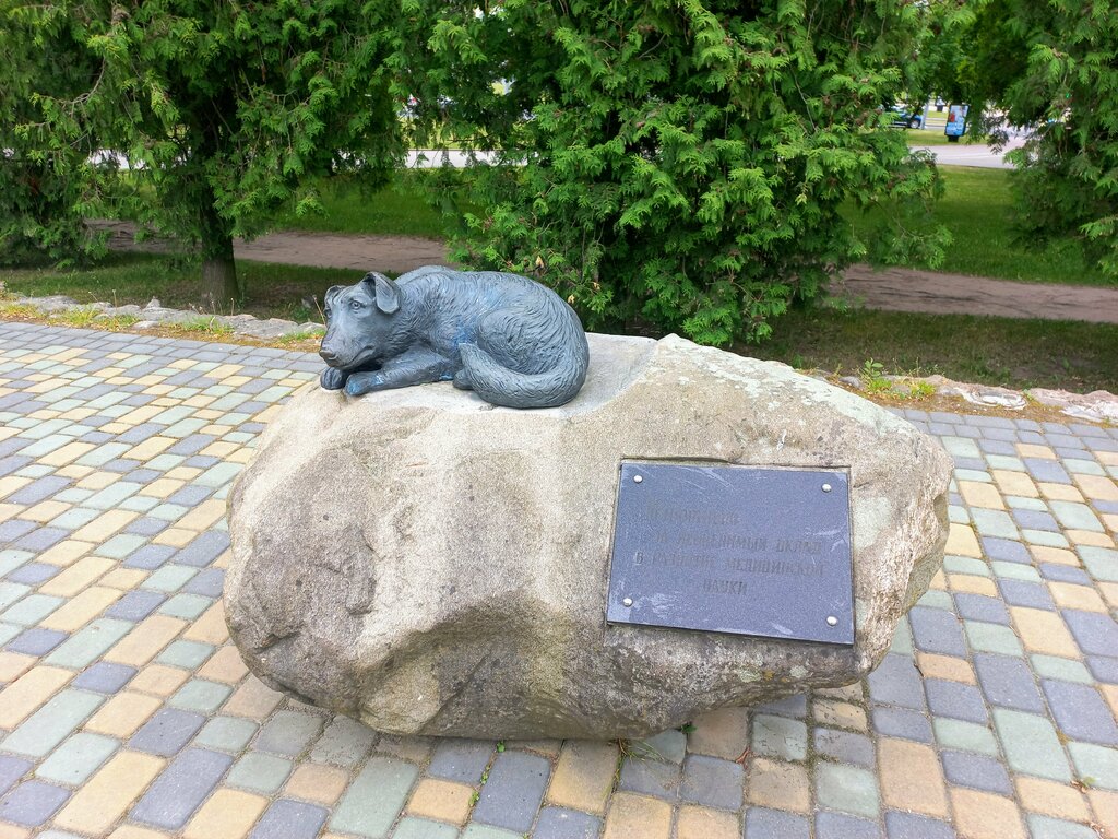 Anıt, heykel Животным за неоценимый вклад в развитие медицинской науки, Grodno, foto