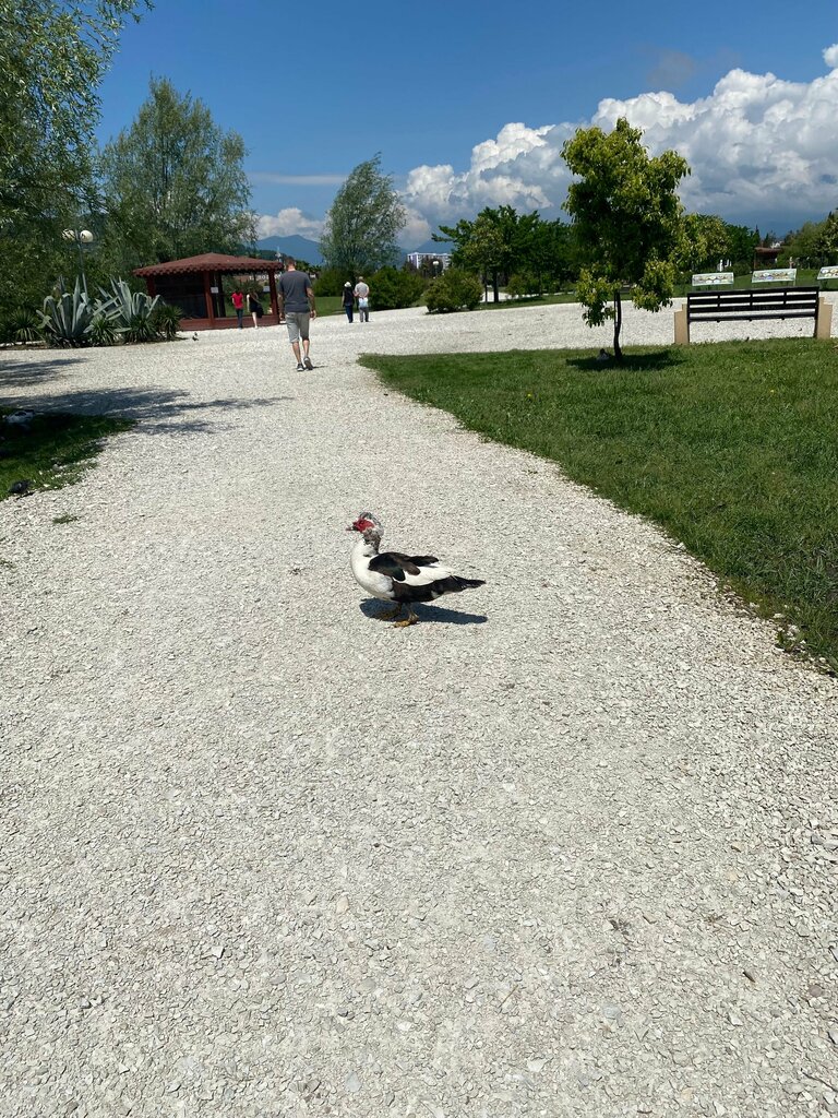 Bilgi standı, onur panosu Редкие и исчезающие виды, Krasnodarski krayı, foto