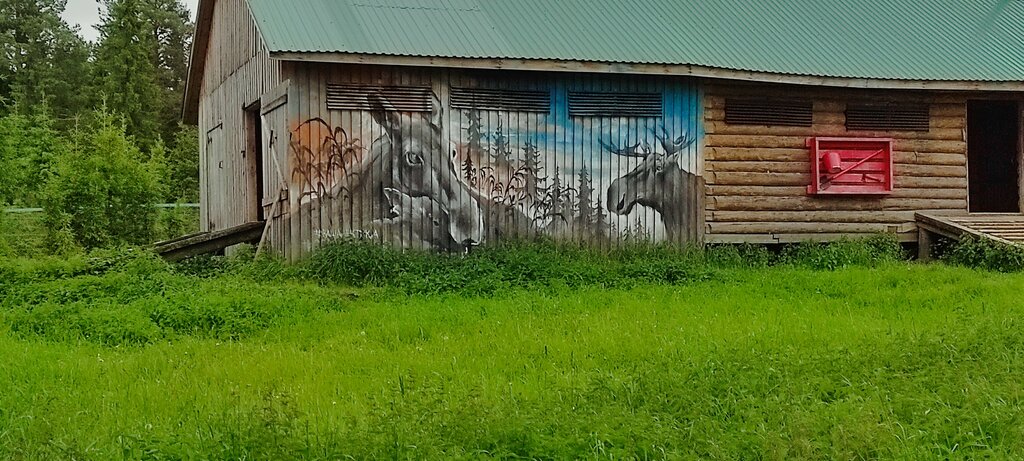 Hayvanat bahçeleri Лосеферма, Komi, foto
