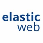 ElasticWeb (Komplektovochnaya ulitsa No:5), hosting firmaları  Surgut'tan