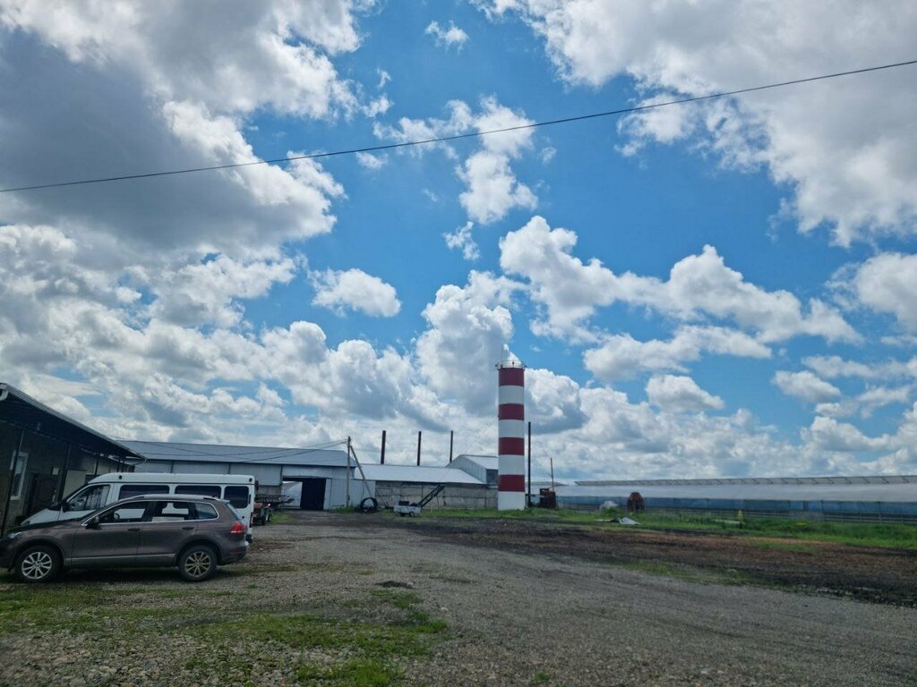 Toptan sebze ve meyve satışı Овощи и фрукты оптом, Krasnodarski krayı, foto