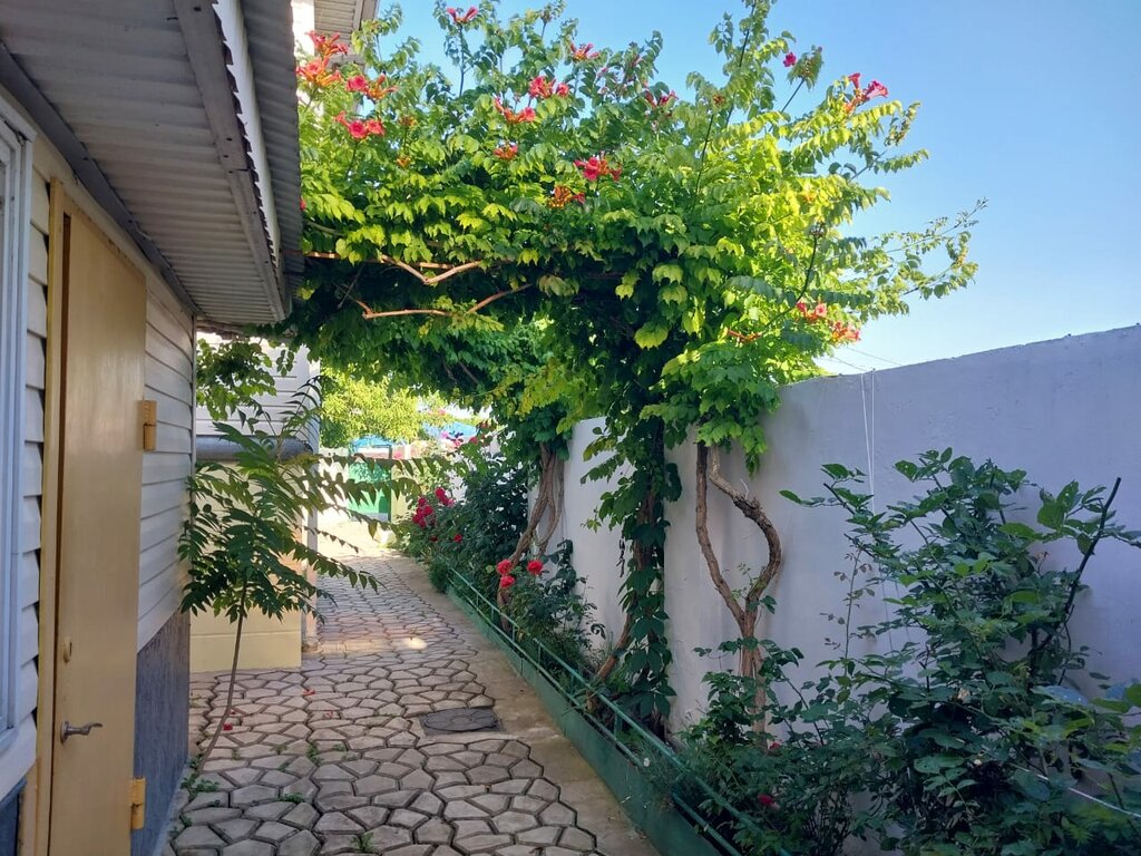 Otel Paradise, Krasnodarski krayı, foto