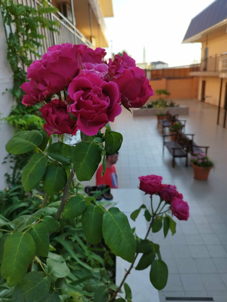 Otel Юг, Krasnodarski krayı, foto