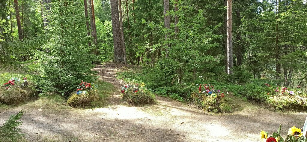 Anıt, heykel Братское захоронение красноармейцев, погибших в 1941 году, Saint‑Petersburg ve Leningradskaya oblastı, foto