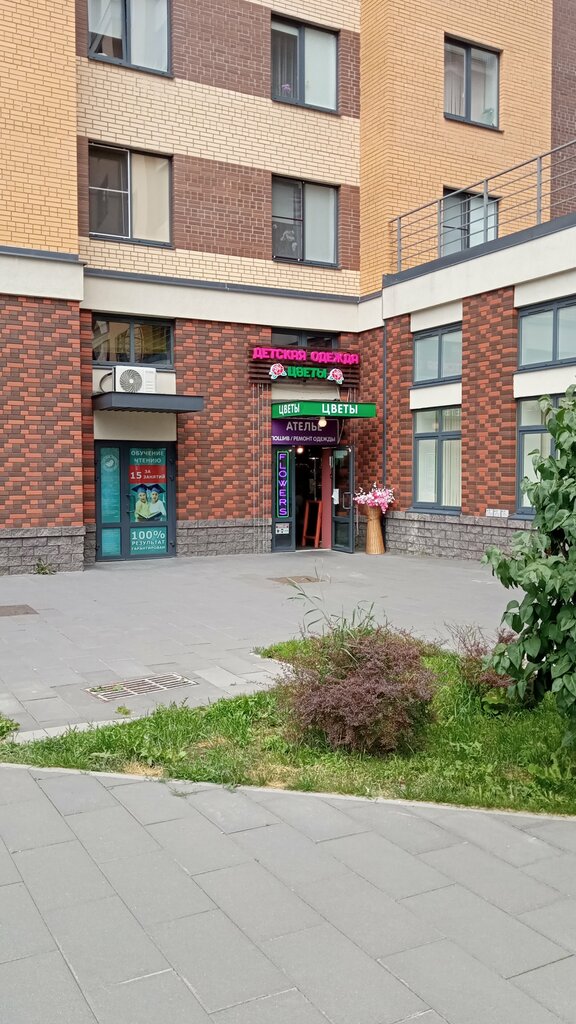 Terziler Lara, Saint‑Petersburg ve Leningradskaya oblastı, foto