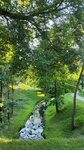 Spring, stream (Grodna, raka Haradničanka), pınar, çay  Grodno'dan