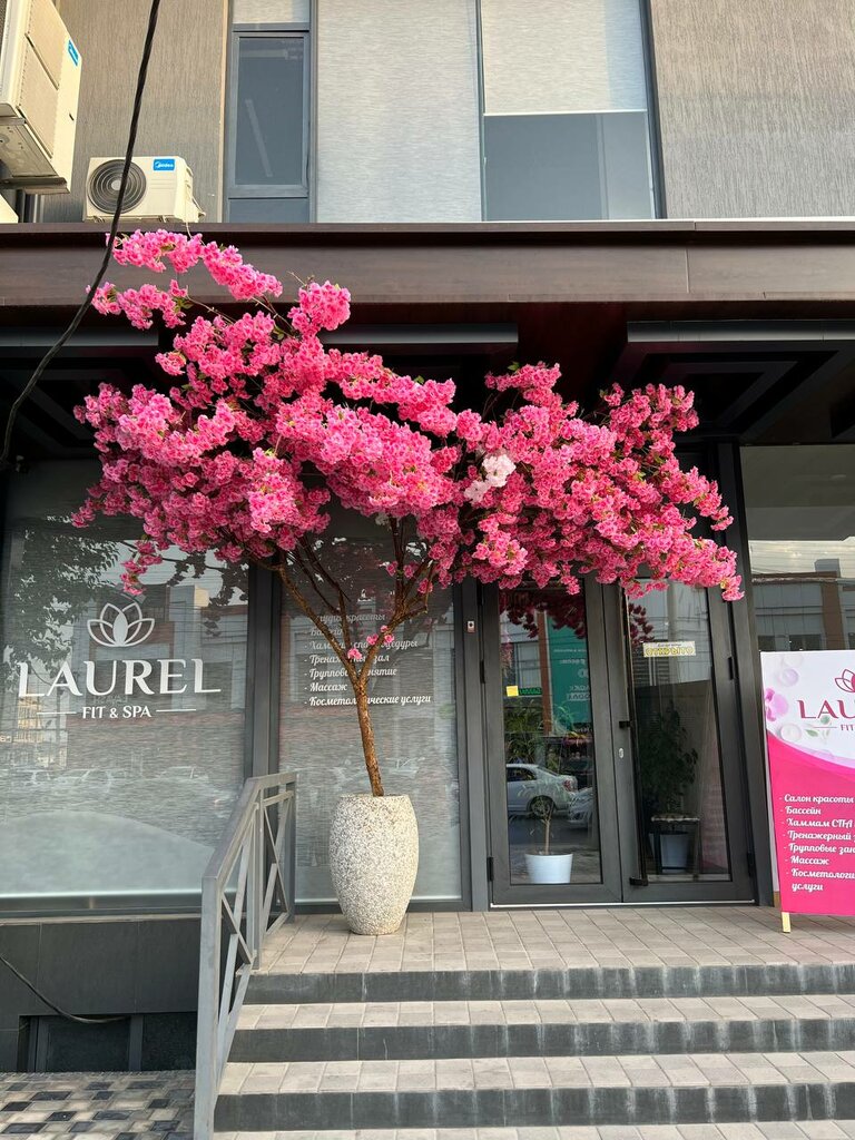 Spa Laurel Fit & SPA, Taşkent, foto