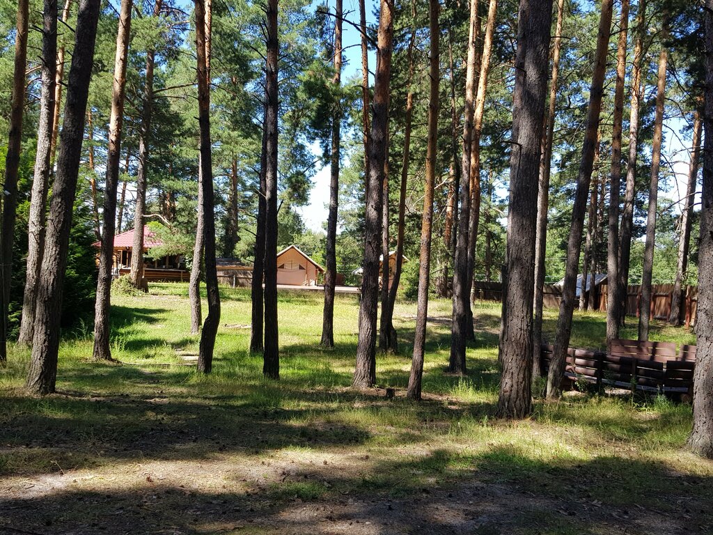 Resort oteller, tesisler Sarin, Mordovya, foto