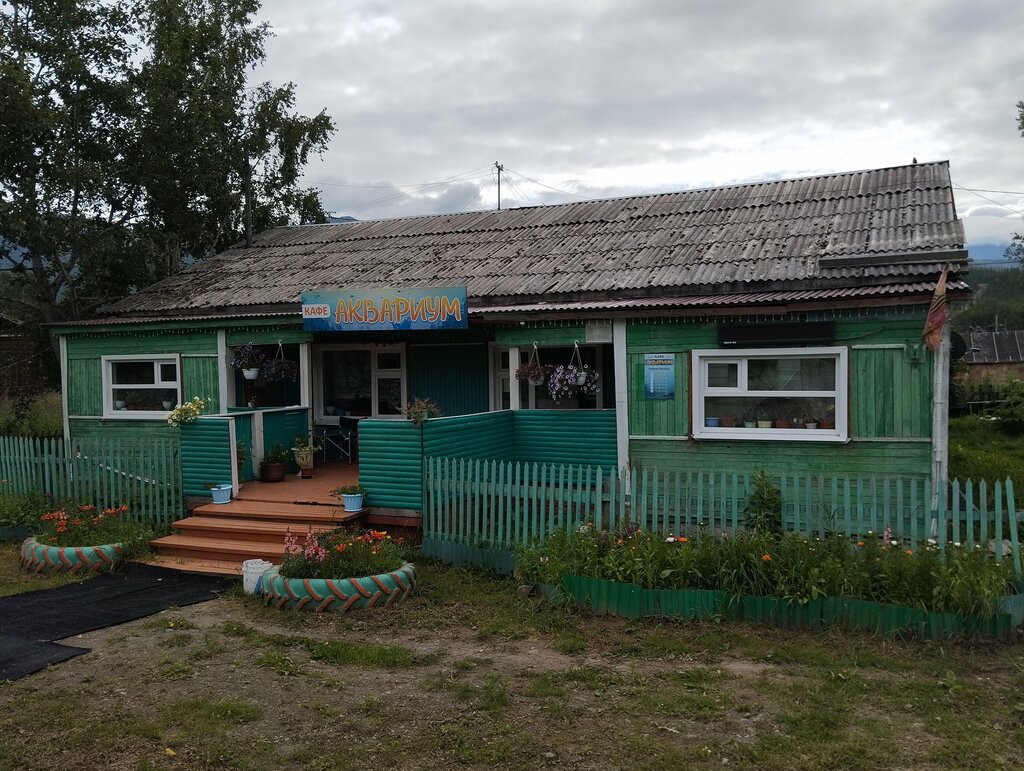 Kafe Аквариум, Kamçatski krayı, foto