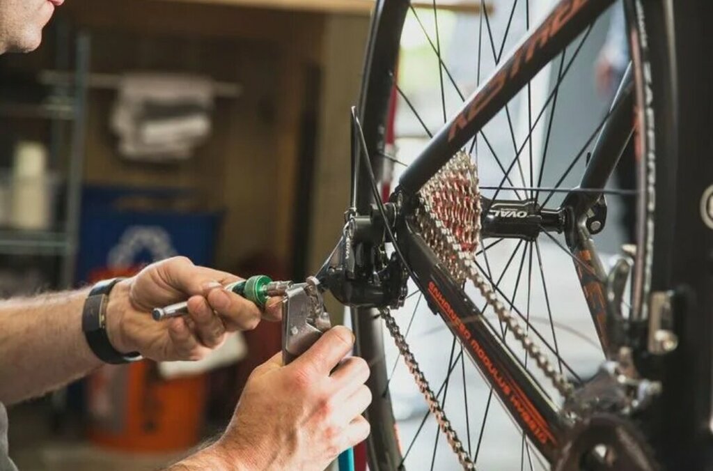 Kişisel elektrikli araç tamiri Велоцираптор, Yekaterinburg, foto