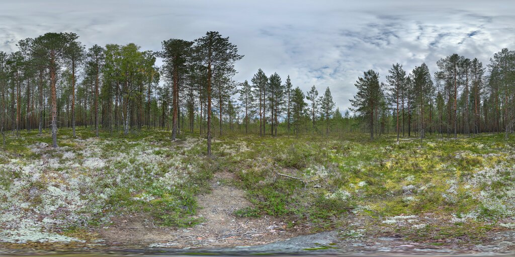 Dağ zirvesi Гора Вялиселькя 126 метров, Karelya, foto