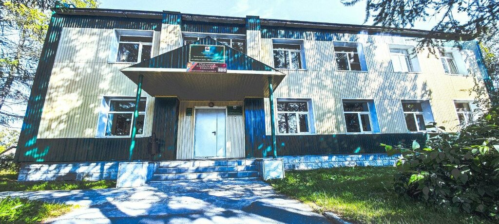 Orman işleri Kamchatka forest areas, Elizovo, foto