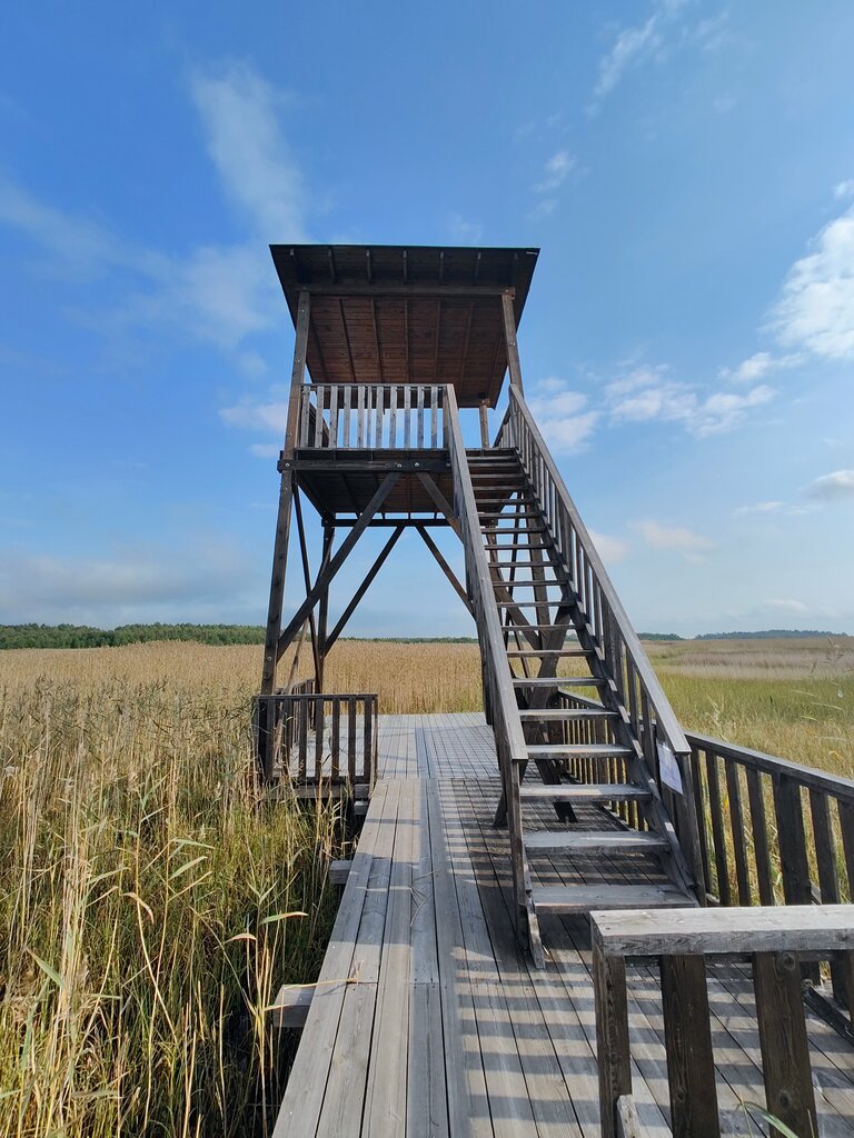 Seyir terası Орнитологическая вышка, Saint‑Petersburg ve Leningradskaya oblastı, foto