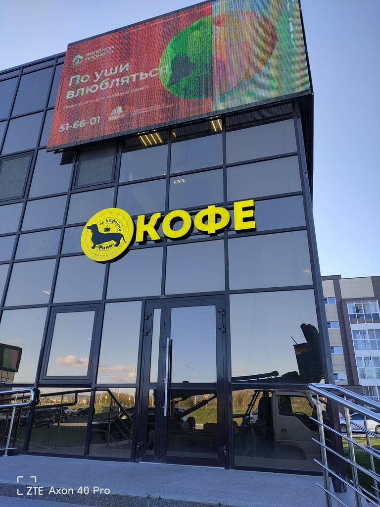 Al götür kahve Финн, Sahalin Bölgesi, foto