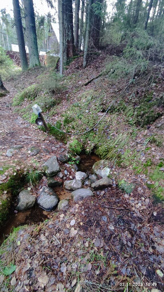 Pınar, çay Родник, Saint‑Petersburg ve Leningradskaya oblastı, foto
