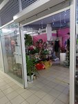 Цветочная студия Ольги Каминской (Volkhovskaya naberezhnaya No:52), çiçekçiler  Kirishi'den