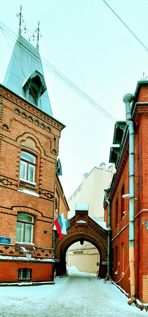 Turistik yerler Особняк В.В. Тиса, Saint‑Petersburg, foto